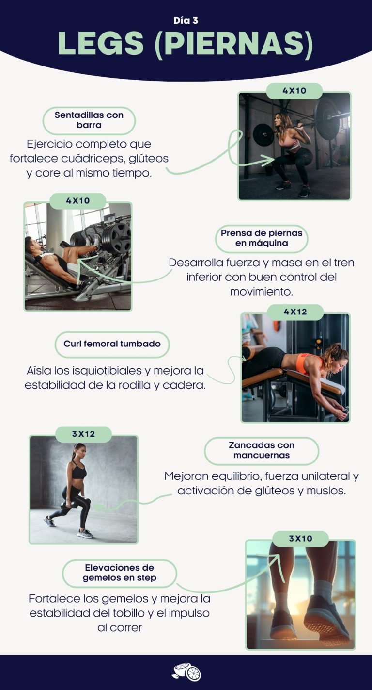 Rutina Push Pull Leg de 6 días - Gana músculo en 2025 💪