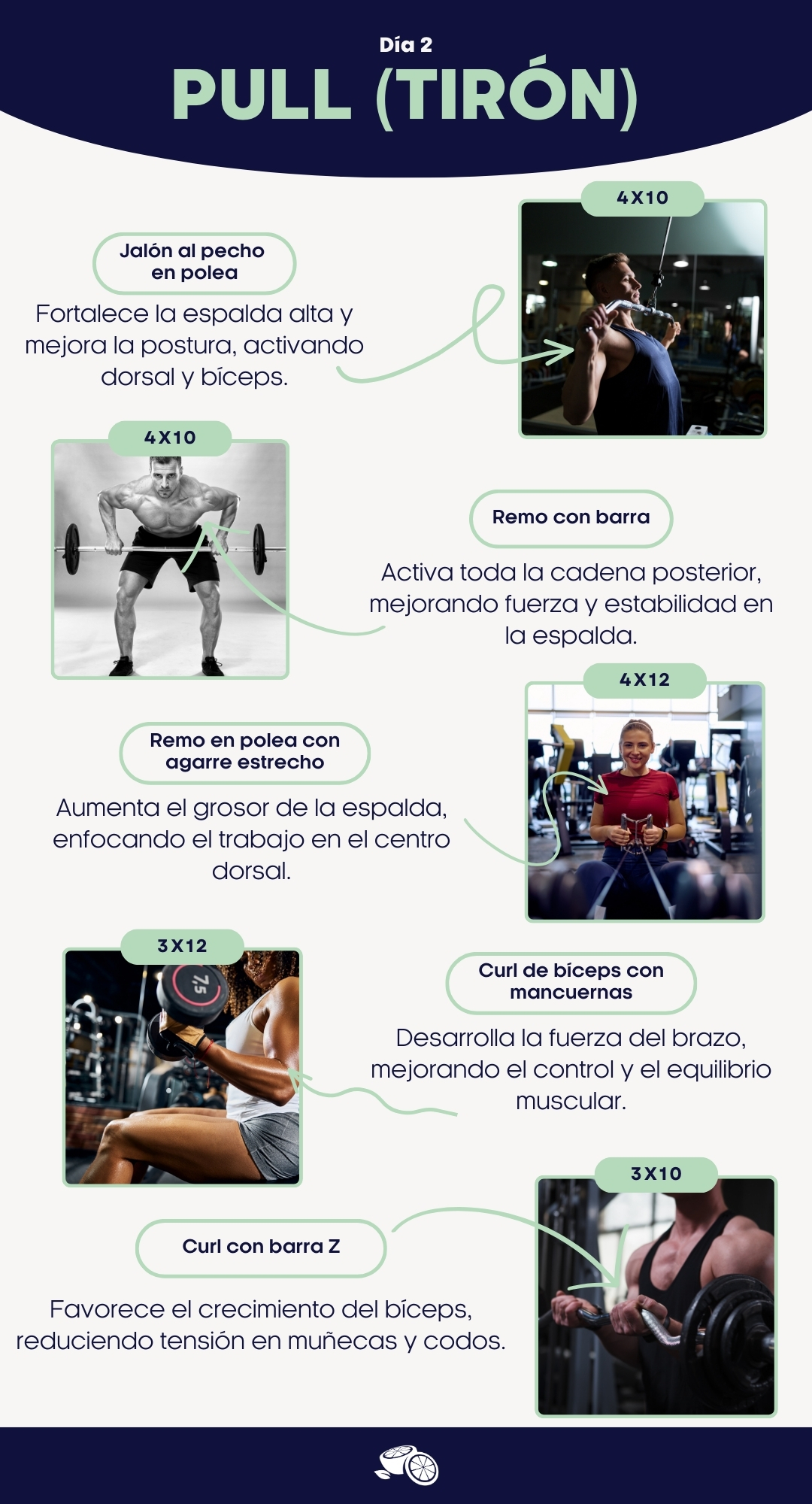 Rutina Push Pull Leg de 6 días - Gana músculo en 2025 💪